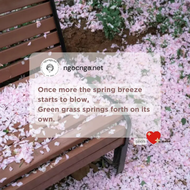 Spring Renewal - NgocNga.net
