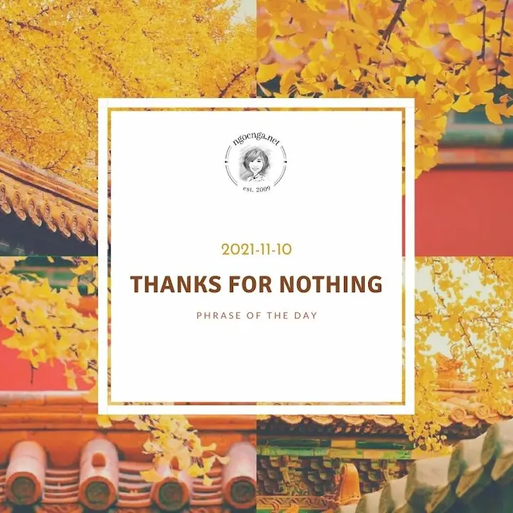Phrase Of The Day: Thanks For Nothing - NgocNga.net
