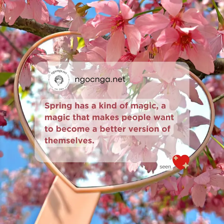 Spring Alchemy - NgocNga.net