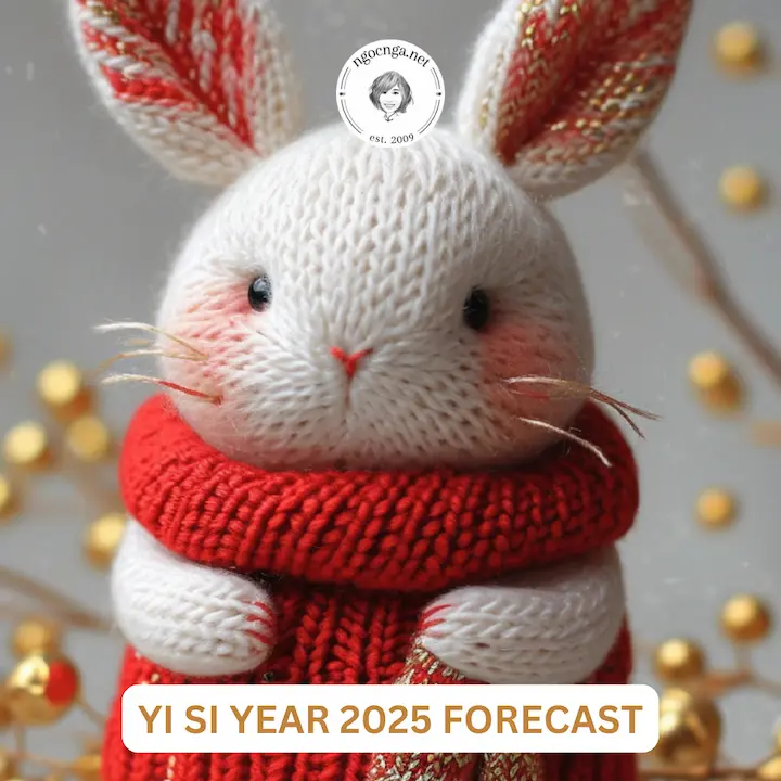 Zi Wei Dou Shu – Yi Si Year 2025 Forecast For Rabbit Or Cat People ...