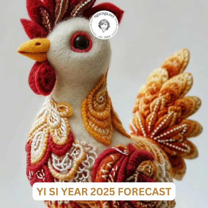 Zi Wei Dou Shu – Yi Si Year 2025 Forecast For Rooster People - NgocNga.net