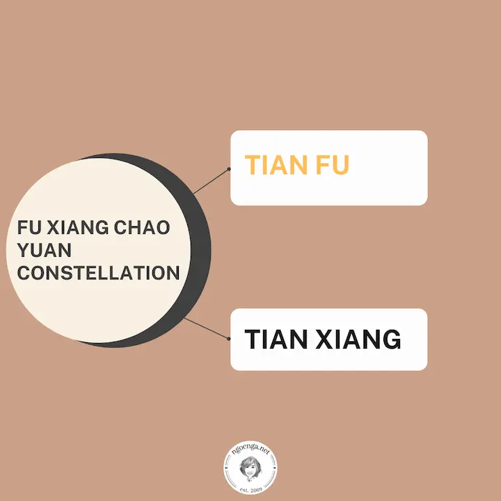 Zi Wei Dou Shu Constellation: Fu Xiang Chao Yuan - NgocNga.net